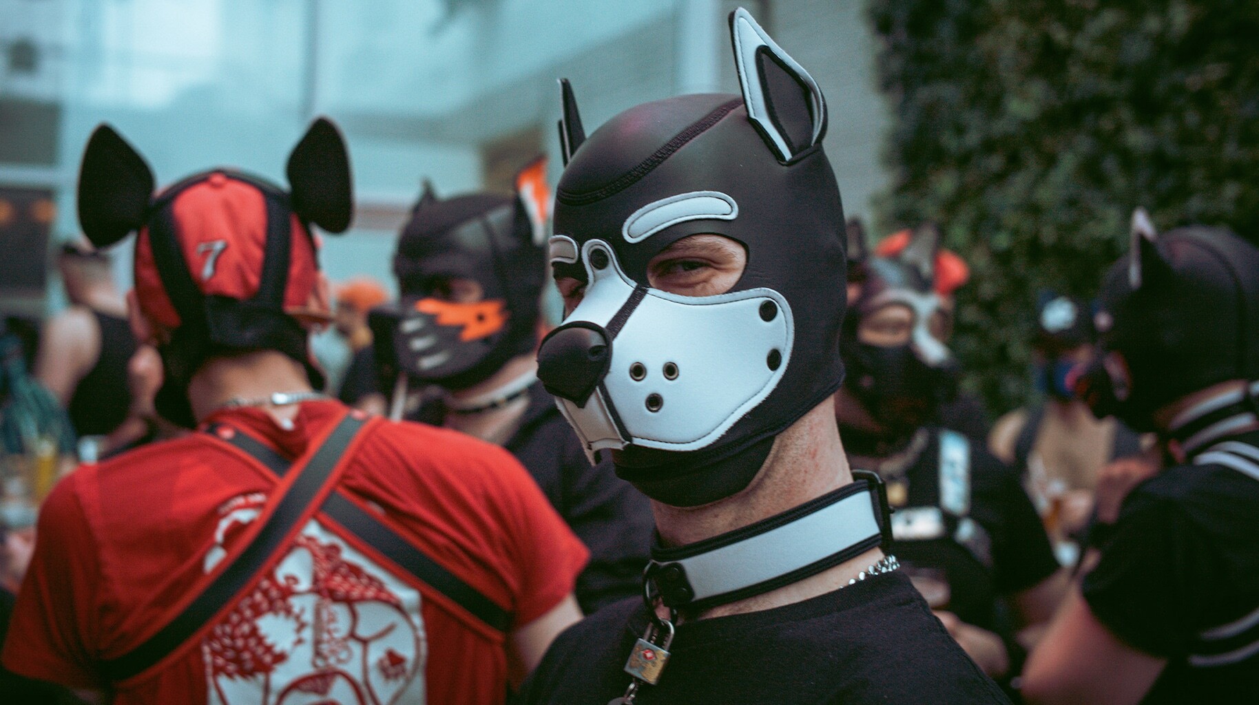Un samedi chez les puppies | URBANIA
