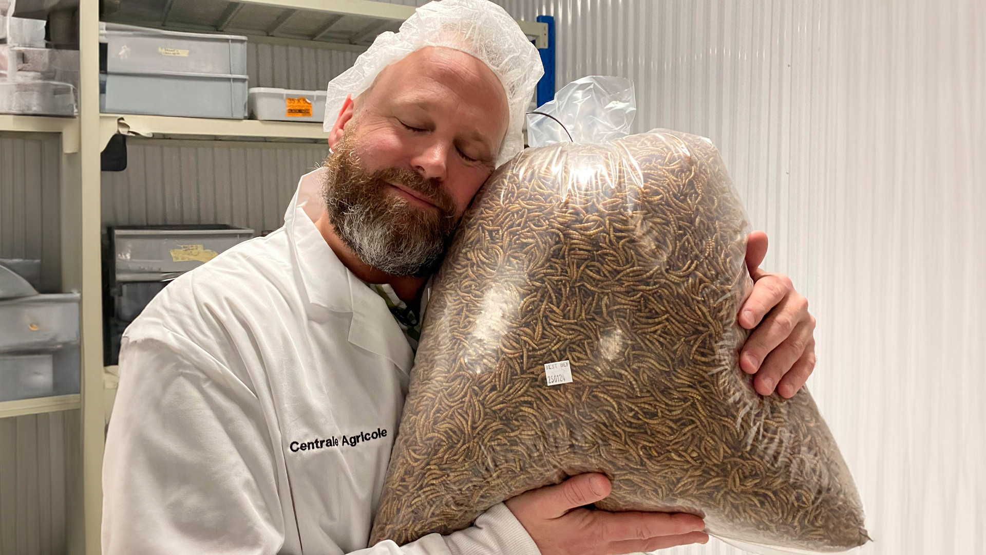 Bibittes pour emporter svp | URBANIA