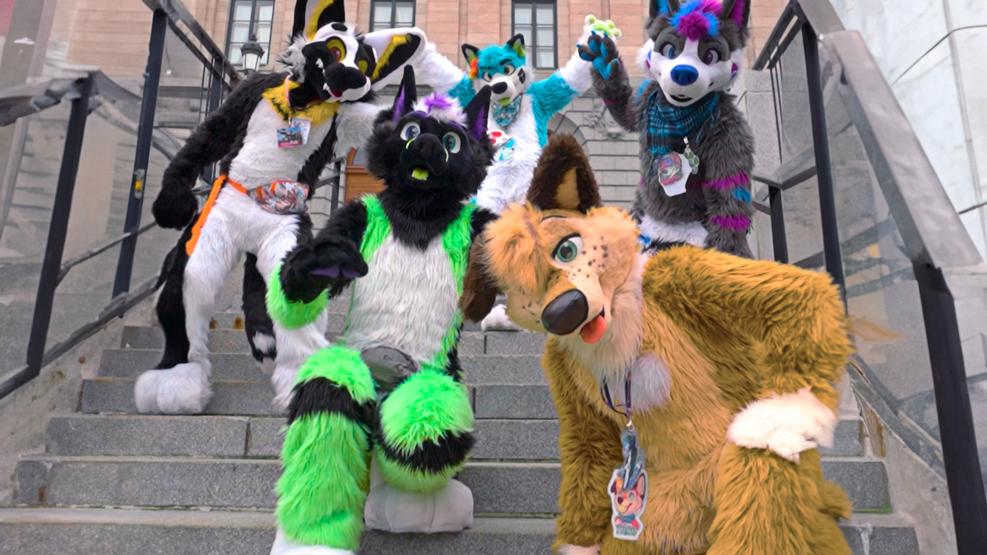 Du fun avec des Furries | URBANIA