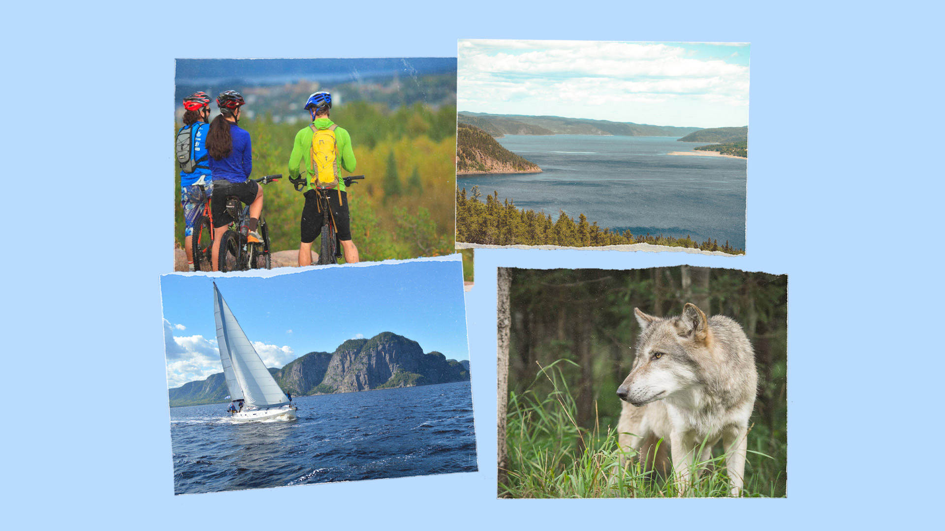 C’est quoi, le plan… dans la région du Saguenay–Lac-Saint-Jean? | Dehors