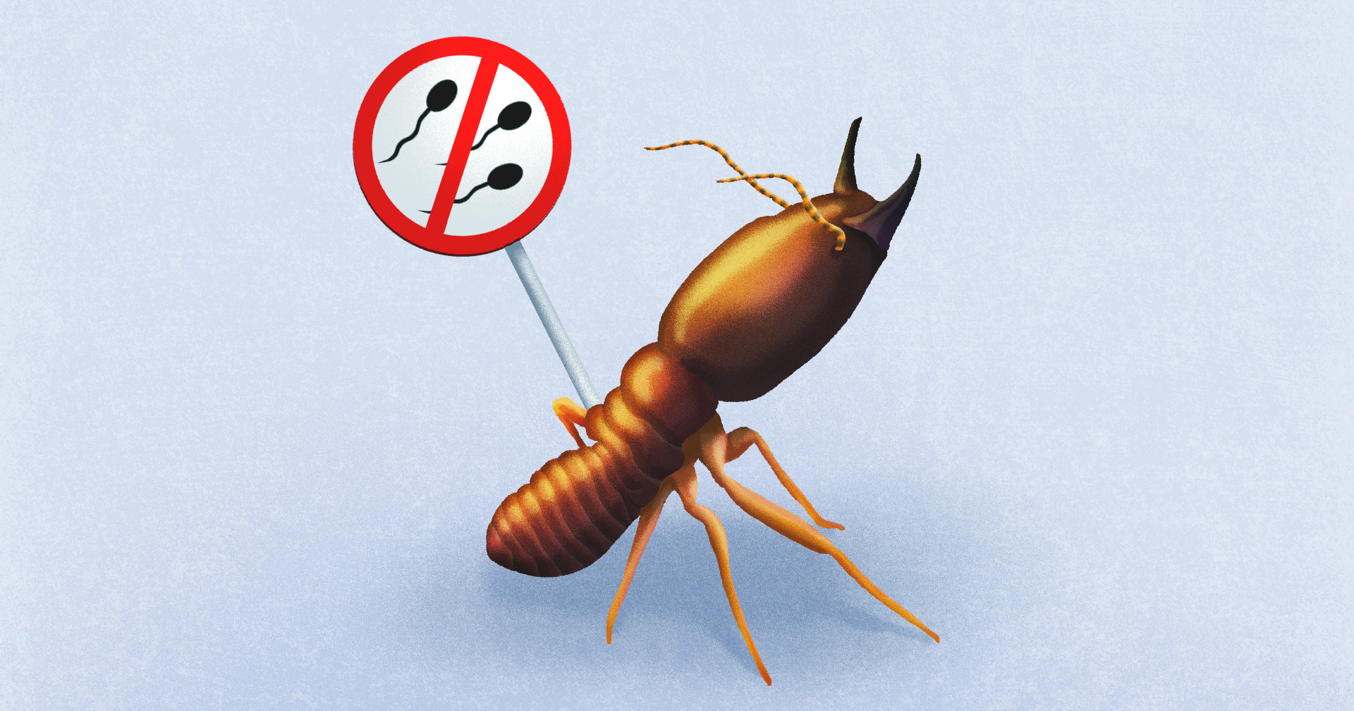 Des Amazones chez les termites : où sont les mâles ? | URBANIA