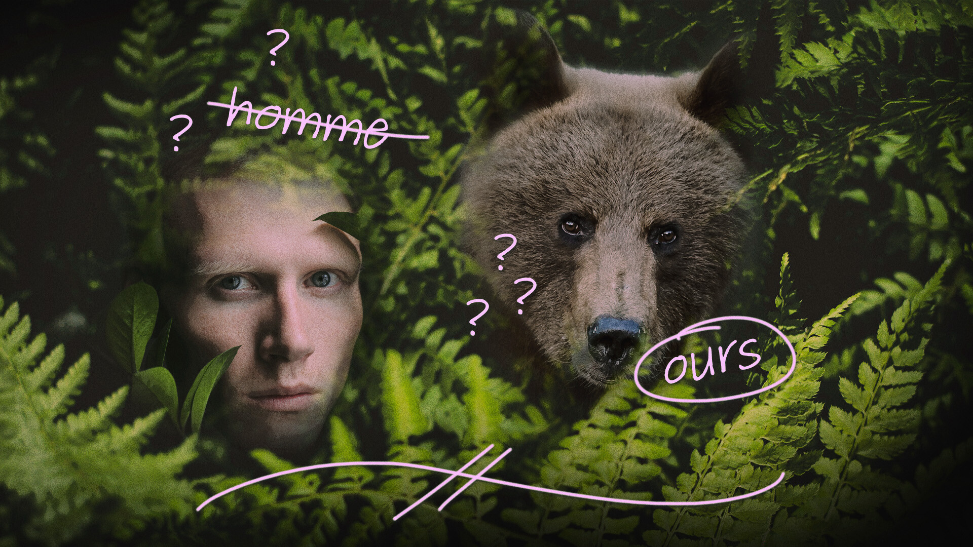 Préférez-vous vous retrouver seule avec un homme ou un ours? | URBANIA