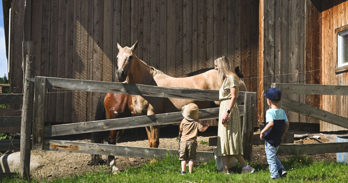 8 activités « pas plates » à faire avec vos enfants dans les Cantons-de ...
